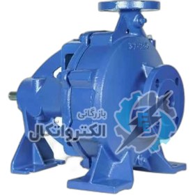 خرید و قیمت پمپ پمپیران EN32-250 | ترب