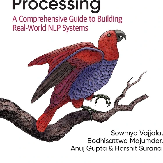 خرید و قیمت دانلود کتاب Practical Natural Language Processing: A ...