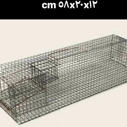 خرید و قیمت تله موش زنده گیر | ترب