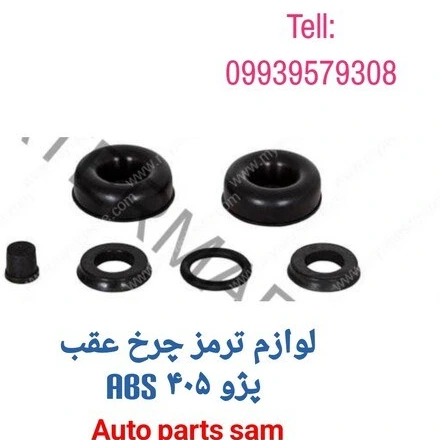 خرید و قیمت لوازم ترمز چرخ عقب پژو 405 abs اتحاد طلایی آسیا AGU | ترب