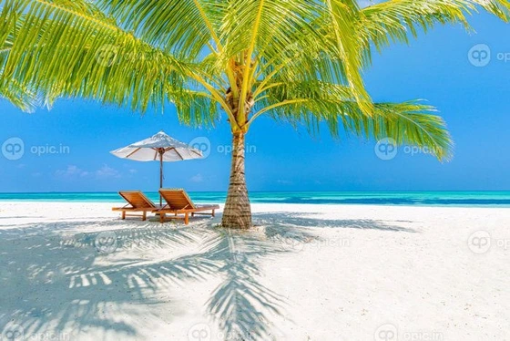 خرید و قیمت دانلود عکس بنر آرام ساحل استوایی شن سفید و نخل کوکو | اوپیک ...