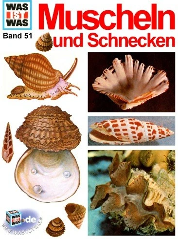 خرید و قیمت دانلود کتاب WAS IST WAS, Band 51: Muscheln und Schnecken ...