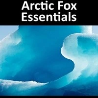 خرید و قیمت Android Studio Arctic Fox Essentials - Java Edition: Developing Android Apps Using ...
