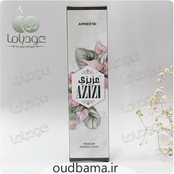 خرید و قیمت عود دستساز عزیزی AZIZI ( آمریا AMREEYA ) | ترب
