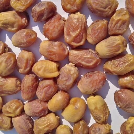 خرید و قیمت خرمای خشک زاهدی یا قصب کیلو 55 هزار تومان امسالی و تازه بدون کرم زدگی ترب