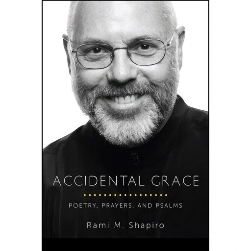 خرید و قیمت کتاب زبان اصلی Accidental Grace اثر Rabbi Rami Shapiro | ترب