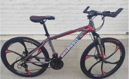 خرید و قیمت دوچرخه اسپورت شش پره BEGASSO 26 | ترب