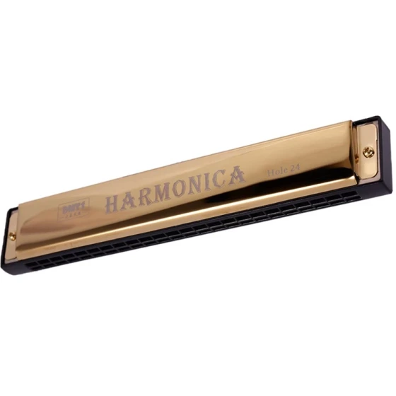 خرید و قیمت ساز دهنی DMTS هارمونیکا Harmonica | ترب