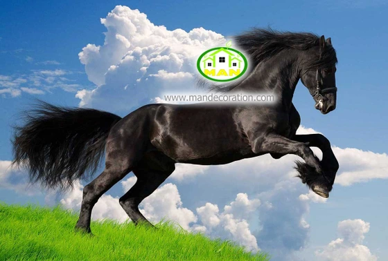 خرید و قیمت پوستردیواری اسب کد v12141 | ترب