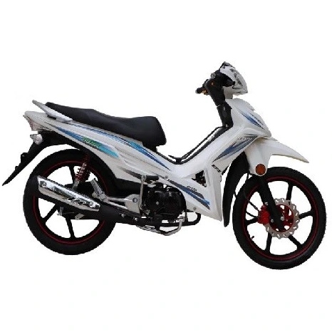 خرید و قیمت مجموعه فلاپ آشیل DY125 شامل 14 قطعه رنگی | ترب