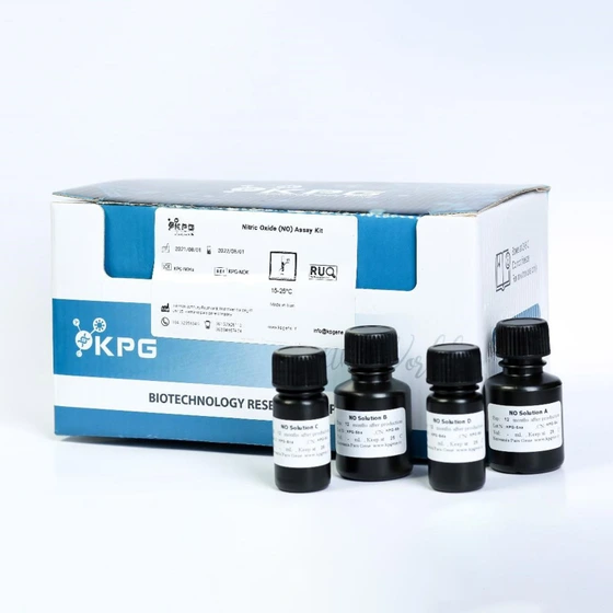 خرید و قیمت NO Assay Kit | ترب