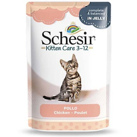 خرید و قیمت پوچ بچه گربه شسیر با طعم مرغ در ژله Schesir Kitten Care Chicken In Jelly وزن 85 گرم ...