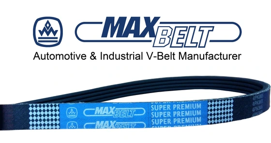 خرید و قیمت تسمه دینام مکس 6PK 1665 پژو 405 | ترب