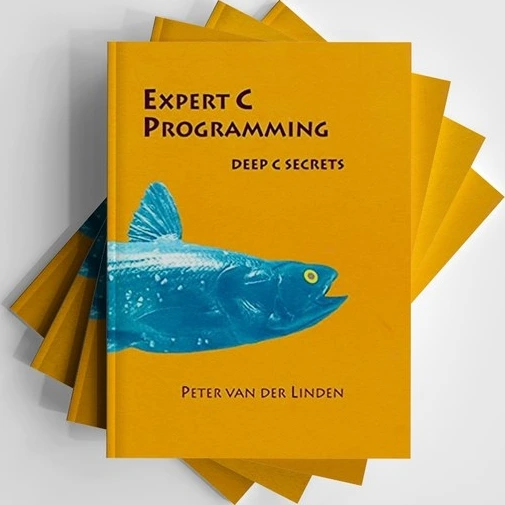 خرید و قیمت کتاب Expert C Programming: Deep C Secrets | ترب