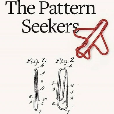 خرید و قیمت کتاب The Pattern Seekers | ترب