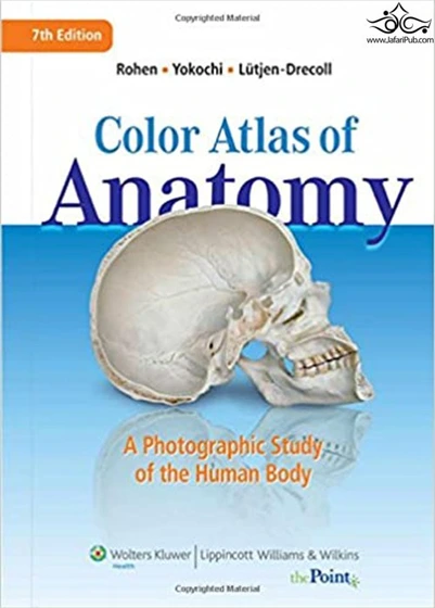خرید و قیمت Color Atlas of Anatomy : A Photographic Study of the Human ...