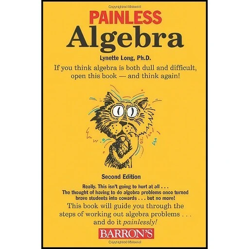 خرید و قیمت کتاب زبان اصلی Painless Algebra اثر Lynette Long PhD | ترب