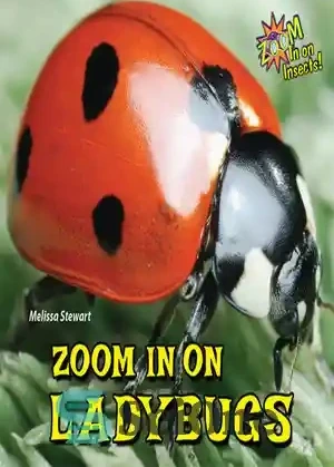 خرید و قیمت دانلود کتاب Zoom in on Ladybugs - روی Ladybugs بزرگنمایی ...