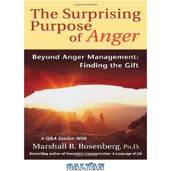 خرید و قیمت دانلود کتاب The Surprising Purpose of Anger: Beyond Anger ...