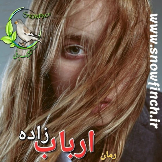 خرید و قیمت رمان ارباب زاده – مهتاب_ر | ترب