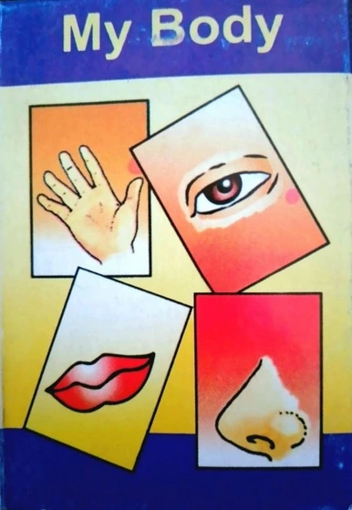 خرید و قیمت فلش کارت بدن من My Body Flashcards | ترب