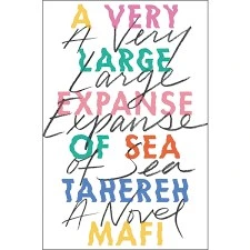 خرید و قیمت کتاب A Very Large Expanse of Sea | ترب