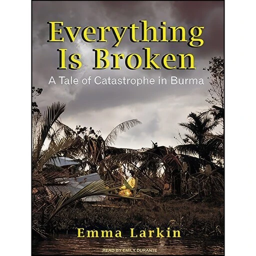 خرید و قیمت کتاب زبان اصلی Everything Is Broken اثر Emma Larkin and ...