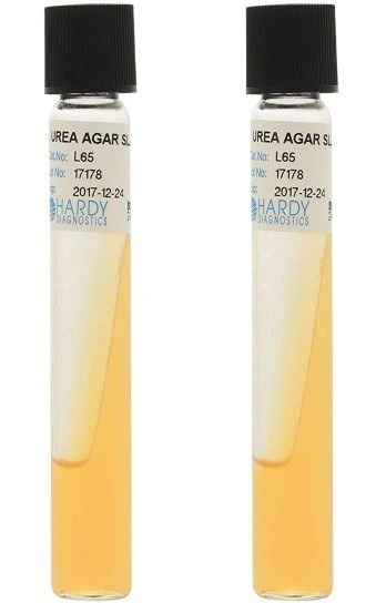 خرید و قیمت محیط کشت اوره آگار باز(UREA AGAR) کیولب - 100 گرم | ترب