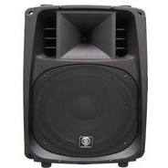 خرید و قیمت باند اکتیو 15 اینچ زیکو Zico W-17A | ترب