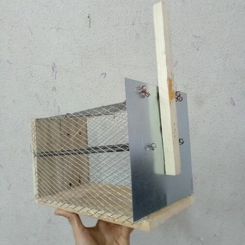 خرید و قیمت تله موش مکانیکی چوبی بزرگ دو فنره قوی | ترب