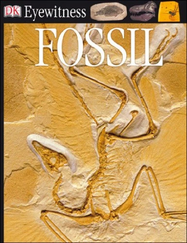 خرید و قیمت دانلود کتاب Fossil (DK Eyewitness Books) 2004 | ترب