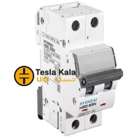 خرید و قیمت فیوز مینیاتوری دو پل ۱۰ آمپر هیوندای مدل HGD63N | ترب