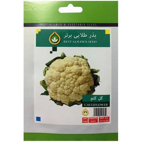 خرید و قیمت بذر گل کلم بذر طلایی برتر کد BZT-75 | ترب