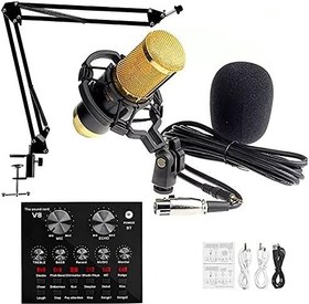 خرید و قیمت Condenser Microphone Bundle, Live Sound Card with Effects ...