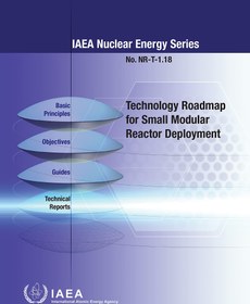 خرید و قیمت دانلود کتاب Technology Roadmap for Small Modular Reactor ...