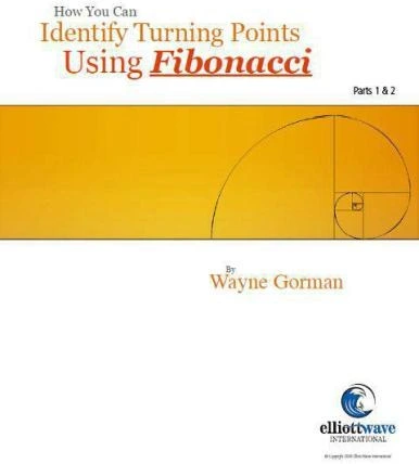 خرید و قیمت دانلود کتاب How You Can Identify Turning Points Using Fibonacci 2008 | ترب