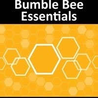 خرید و قیمت Android Studio Bumble Bee Essentials: Java Edition | ترب