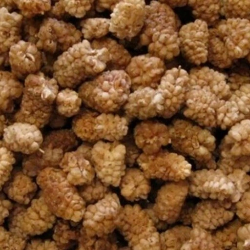 خرید و قیمت توت خشک کردستان نرم تازه 1000گرم | ترب