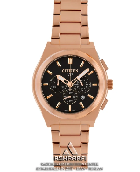 خرید و قیمت ساعت سیتیزن Citizen VIP CT8039RGK5 | ترب
