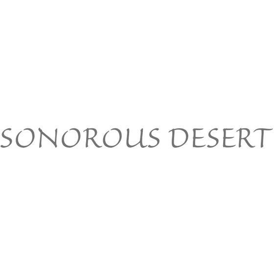 خرید و قیمت دانلود کتاب Sonorous Desert: What Deep Listening Taught Early Christian Monks —and ...