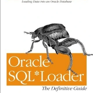 خرید و قیمت دانلود کتاب Oracle SQL*Loader: The Definitive Guide ویرایش 1 | ترب