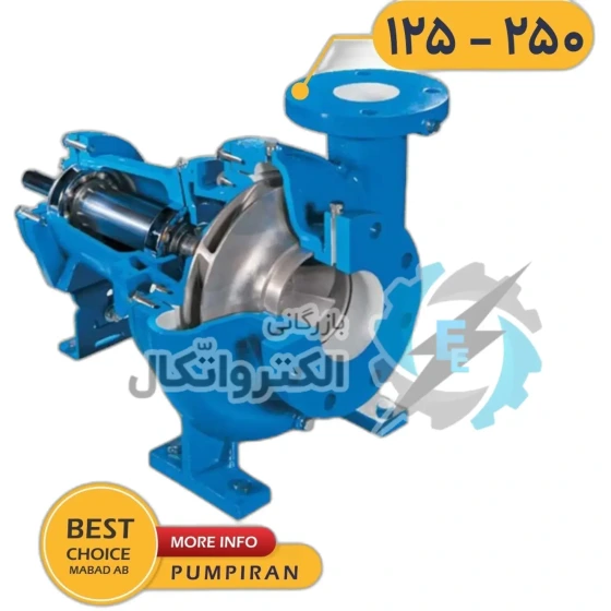 خرید و قیمت پمپ آب گریز از مرکز پمپیران Pumpiran-125-250 | ترب