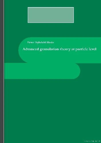 خرید و قیمت دانلود کتاب Advanced Granulation Theory at Particle Level 2006 | ترب
