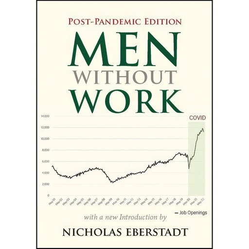 خرید و قیمت کتاب زبان اصلی Men without Work اثر Nick Eberstadt | ترب
