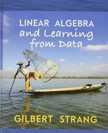 خرید و قیمت کتاب لینیر الجبرا اند لرنینگ فرام دیتا Linear Algebra and ...