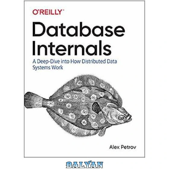 خرید و قیمت دانلود کتاب Database Internals A Deep Dive Into How Distributed Data Systems Work ترب