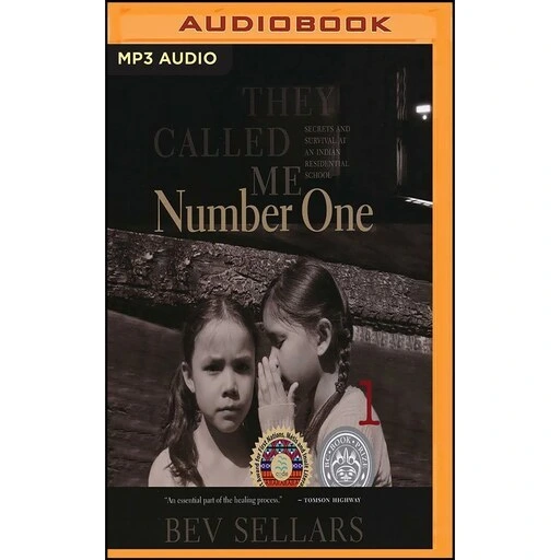 خرید و قیمت کتاب زبان اصلی They Called Me Number One اثر Bev Sellars ...