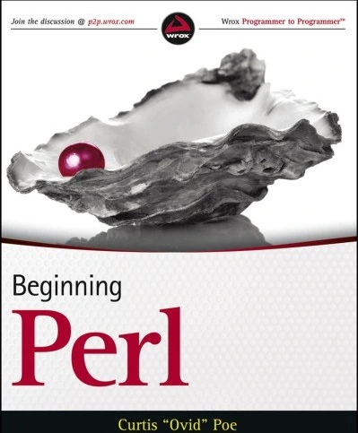 خرید و قیمت دانلود کتاب Beginning Perl 1st edition | ترب