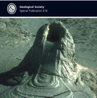 خرید و قیمت دانلود کتاب Subsurface sediment mobilization illustrated ...