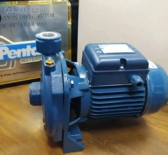 خرید و قیمت پمپ اب پنتاکس مدل بشقابی cm100/00 | ترب